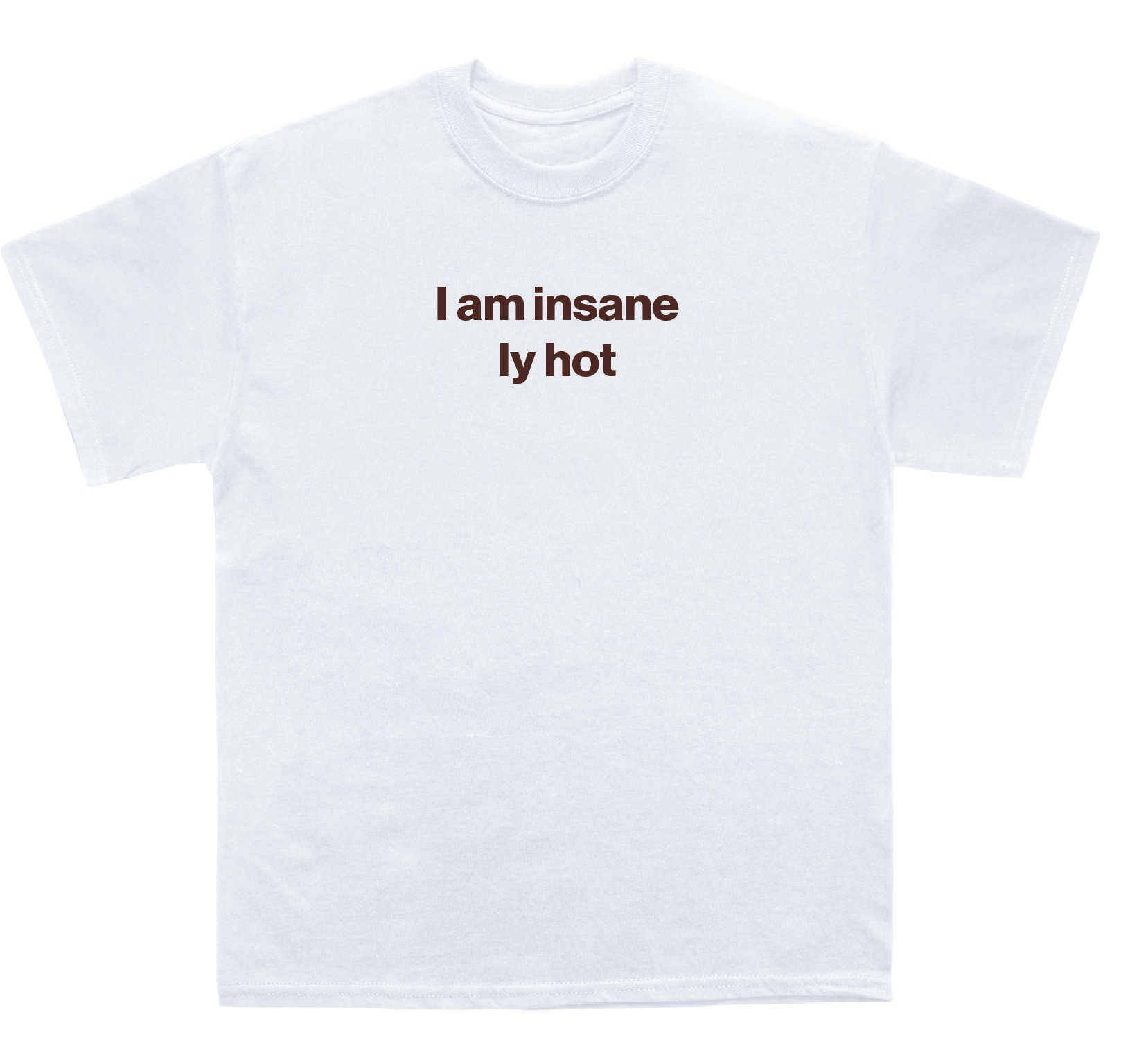 I Am Insanely Hot Shirt Found My Hoodie 2438